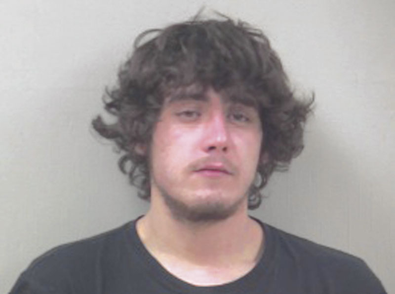 Not guilty pleas in Felch gun thefts | News, Sports, Jobs - The Daily News